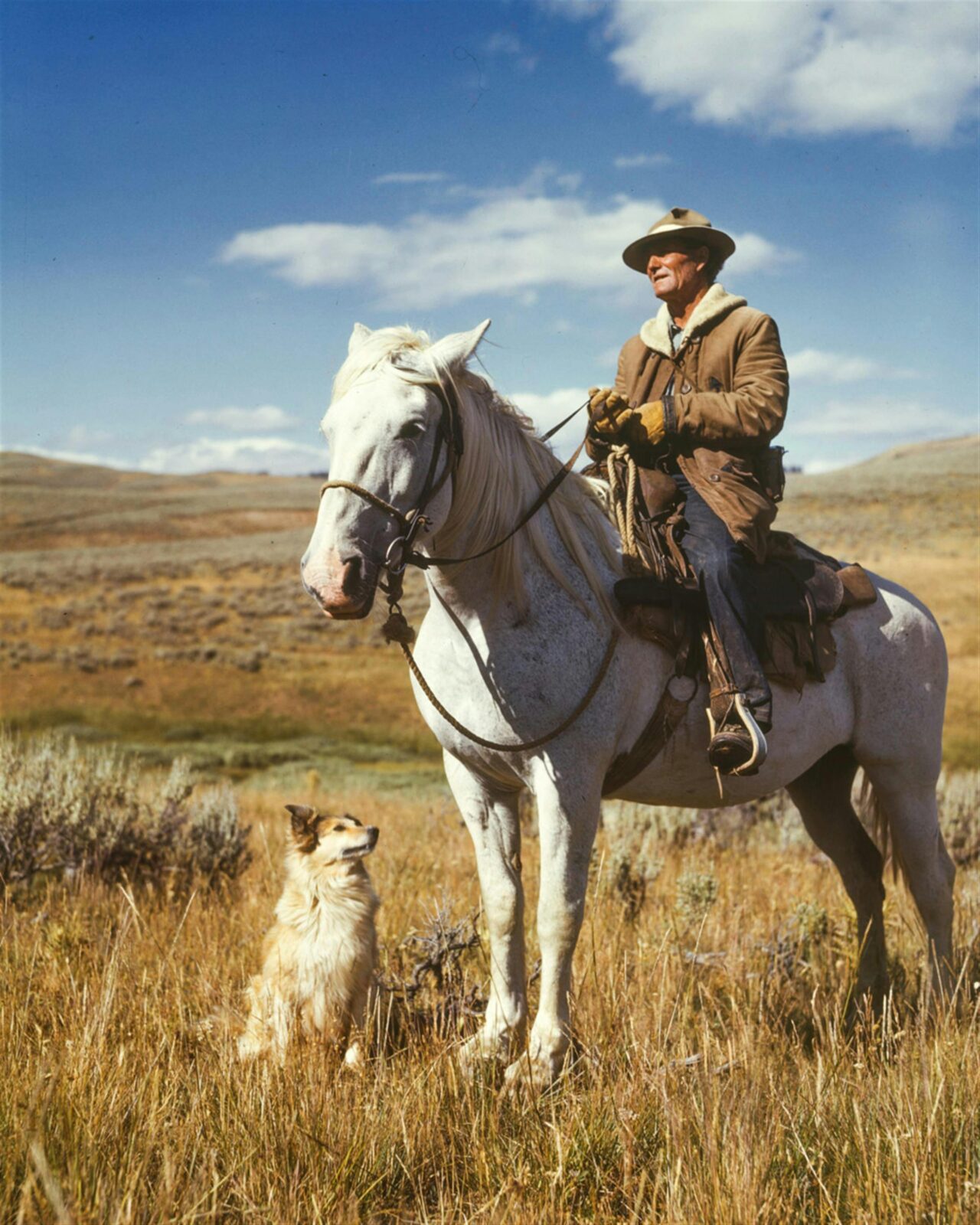Loyal Guardians: The Sacred History of Dogs in Native American Culture ...